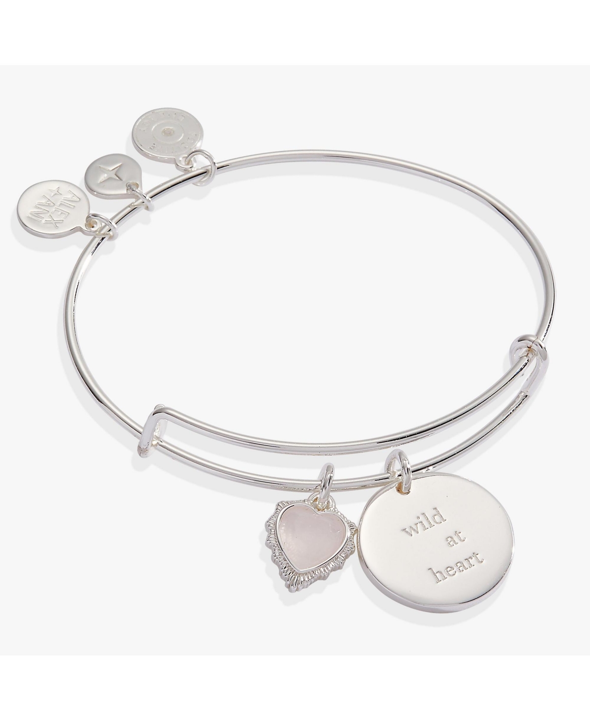Click here for Wild At Heart Duo Charm Bangle Bracelet prices