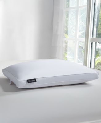 Click here for Beautyrest 2 Gusseted Down Fiber Pillow prices
