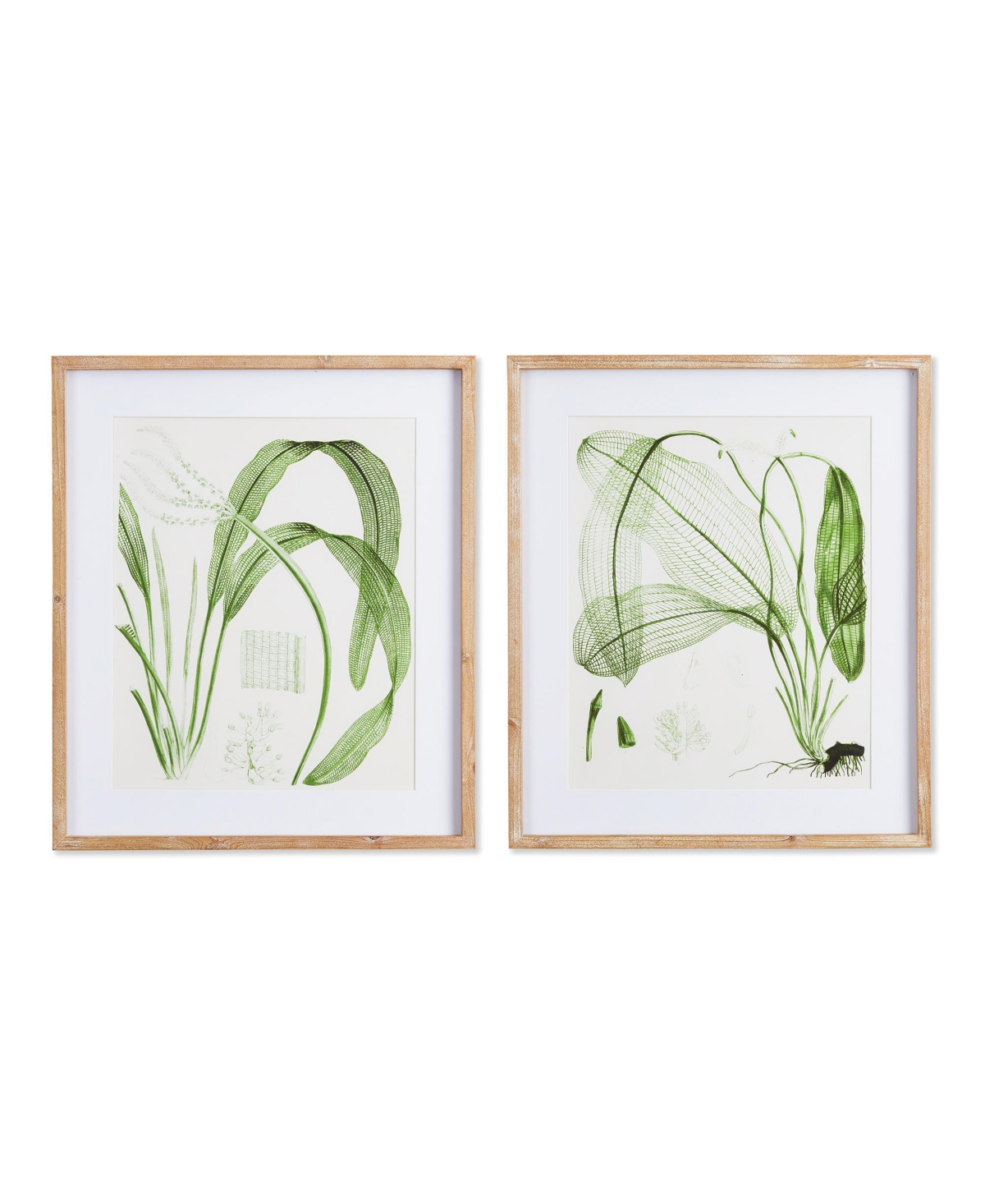 Click here for Aquatic Leaf Prints  Set Of 2 - Green prices