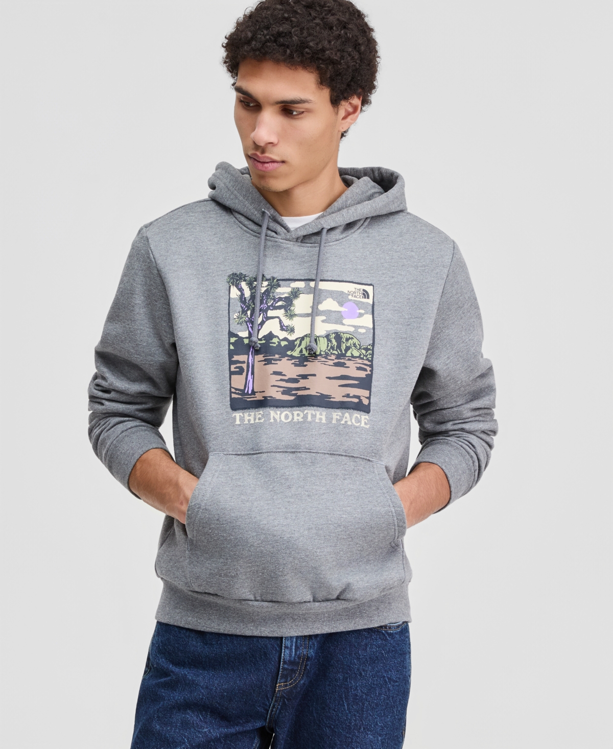 Click here for Mens The North Face Evolution Desert Graphic Hoodi... prices