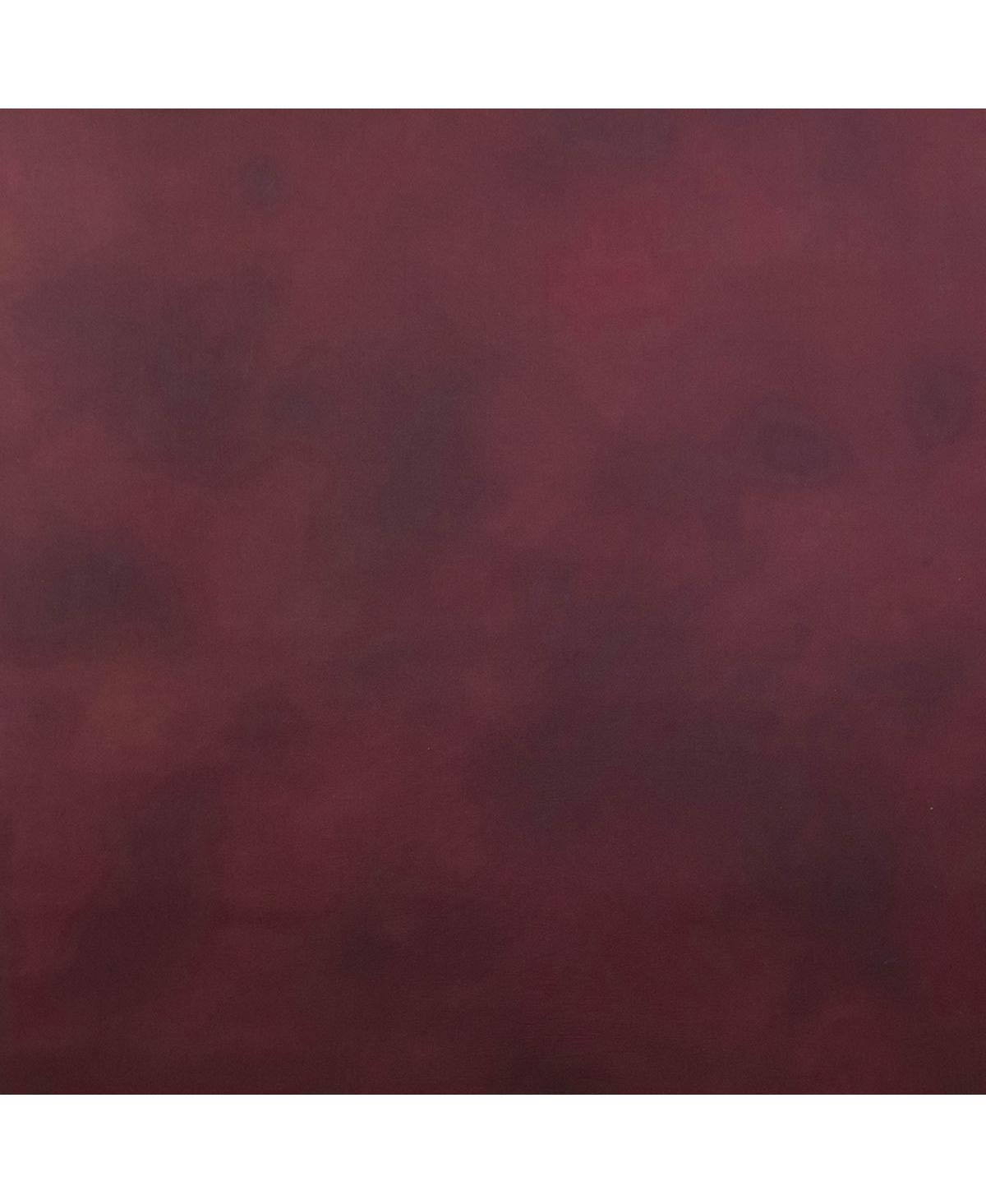 Click here for Savage 5x7 Scarlet Canvas Backdrop prices