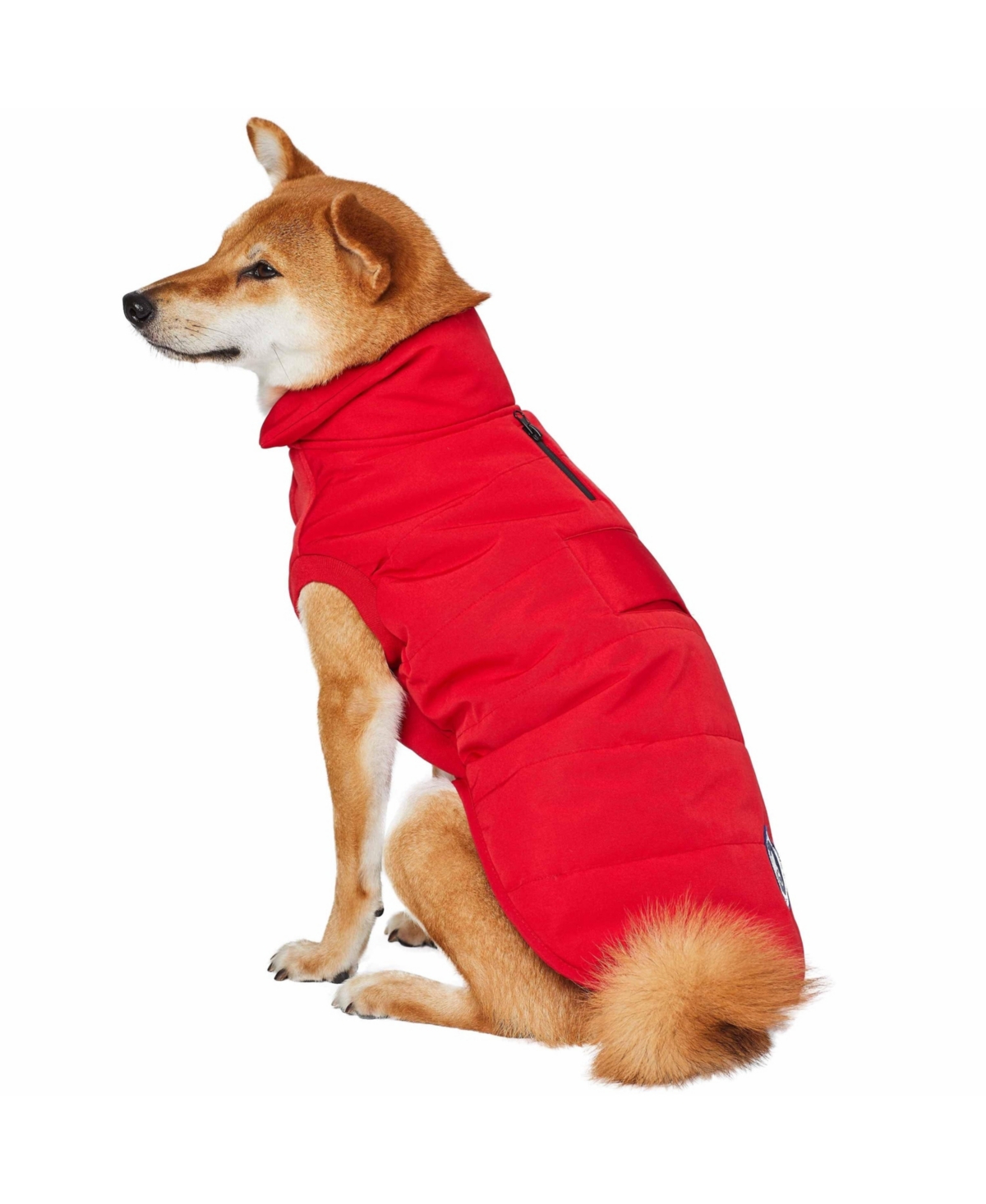 Click here for Blueberry Pet Windproof Waterproof Quilted Dog Puf... prices