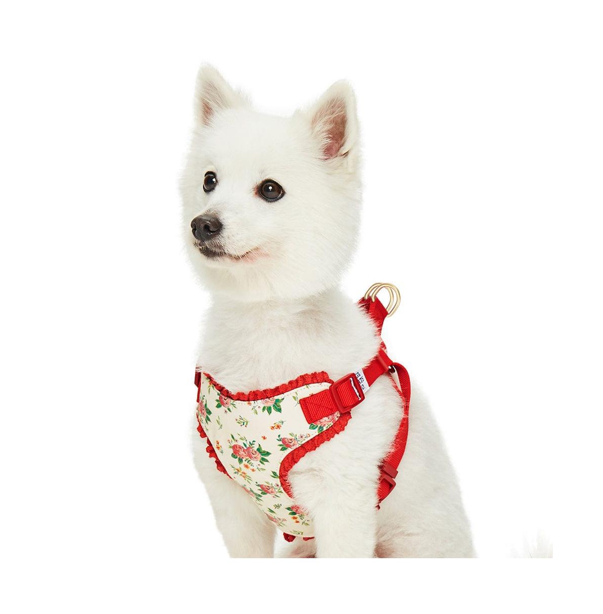 Click here for Dogs & Cats & Co. Spring Floral Dog Harness with C... prices