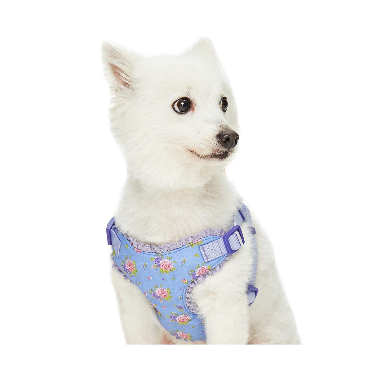 Click here for Dogs & Cats & Co. Spring Floral Dog Harness with C... prices