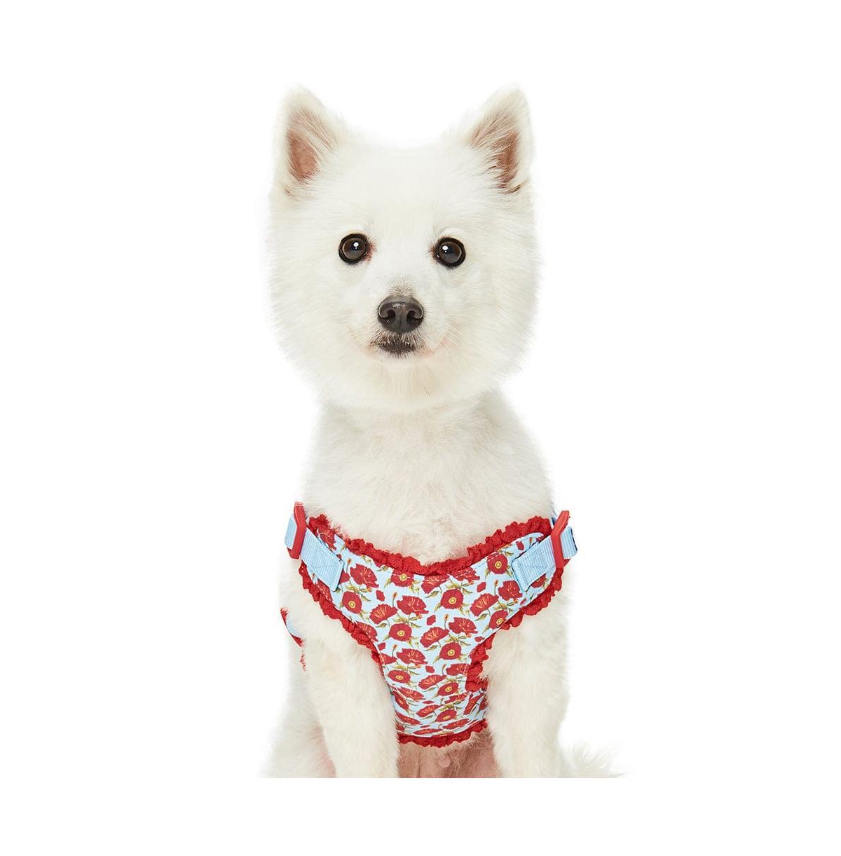 Click here for Dogs & Cats & Co. Spring Floral Dog Harness with C... prices