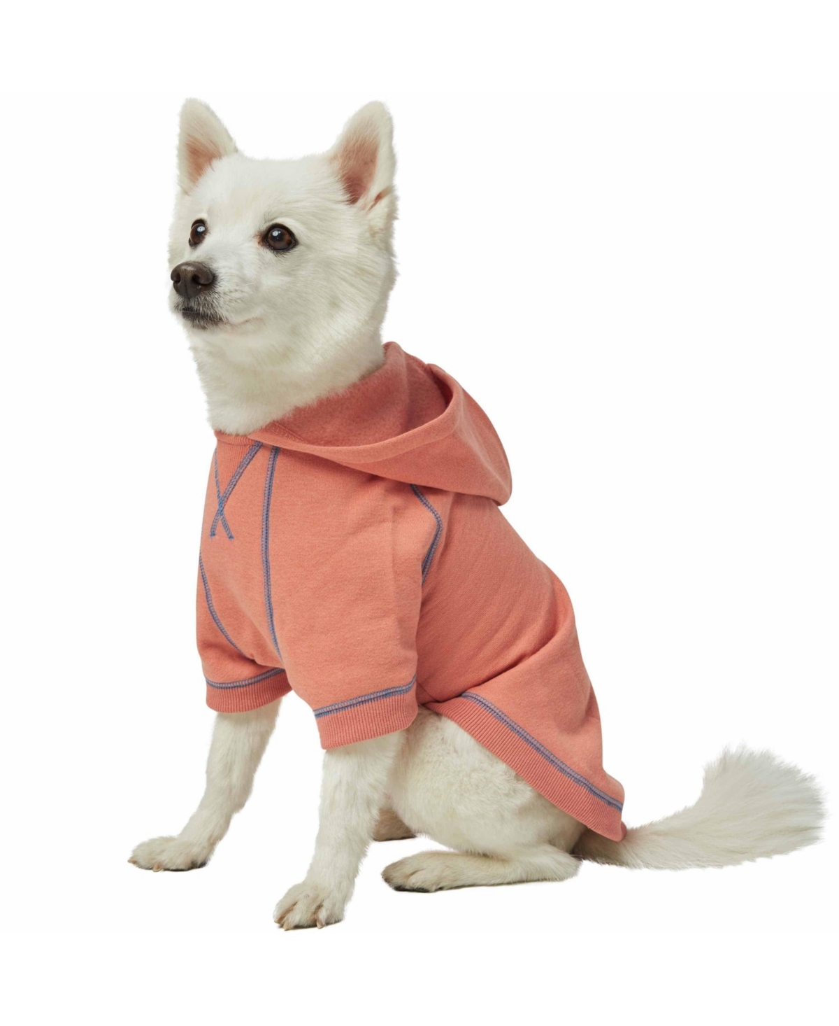 Click here for Blueberry Pet Better Basics Matching Hoodies for D... prices