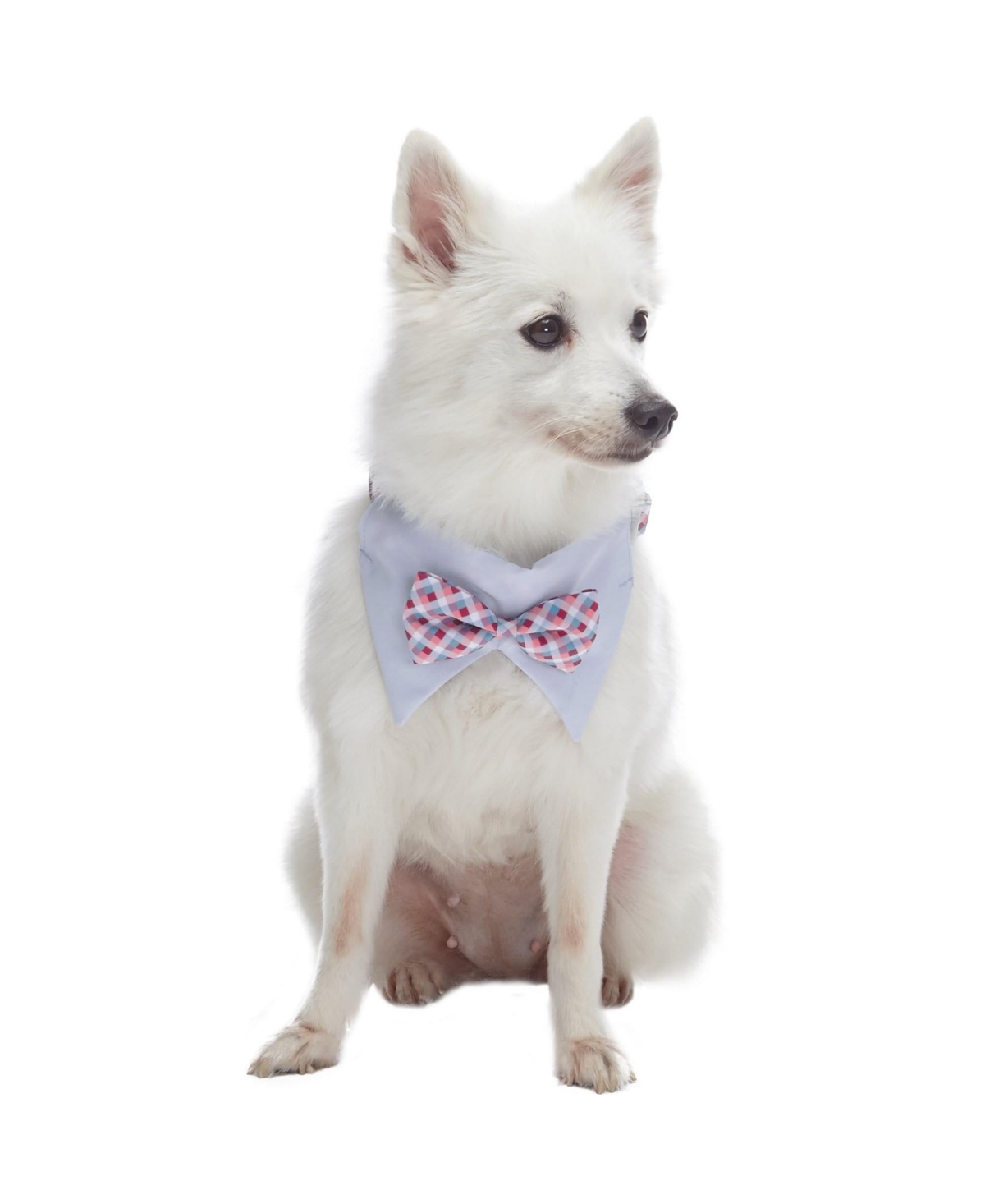 Click here for Blueberry Pet Scottish Bandana Bow Tie Dog Collar... prices