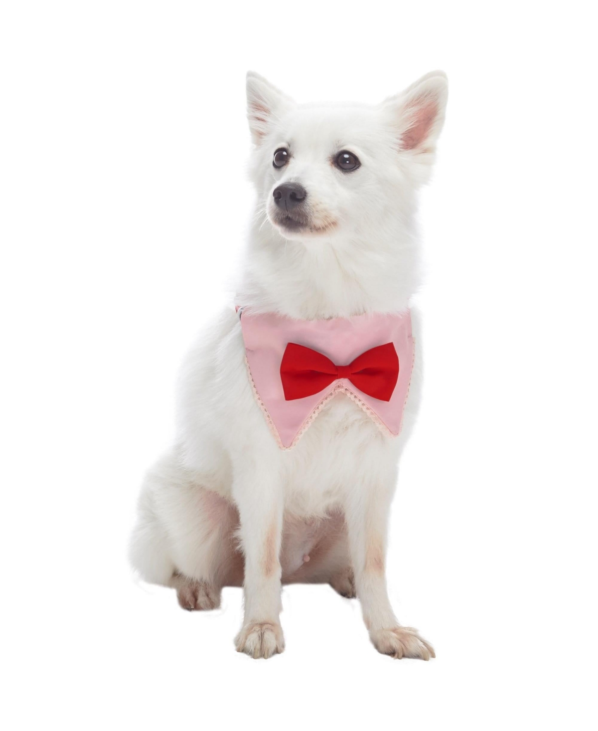 Click here for Blueberry Pet Scottish Bandana Bow Tie Dog Collar... prices