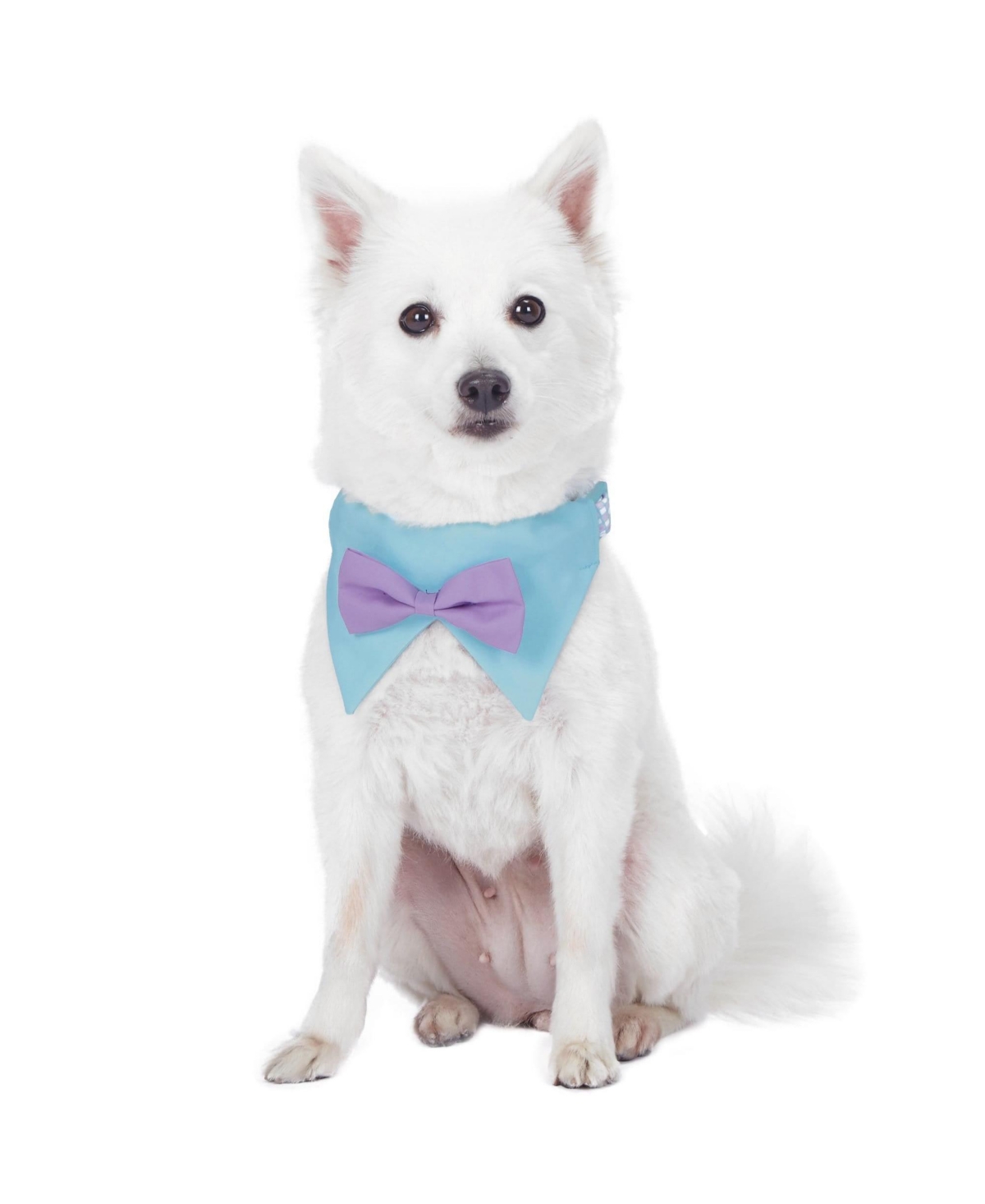 Click here for Blueberry Pet Scottish Bandana Bow Tie Dog Collar... prices