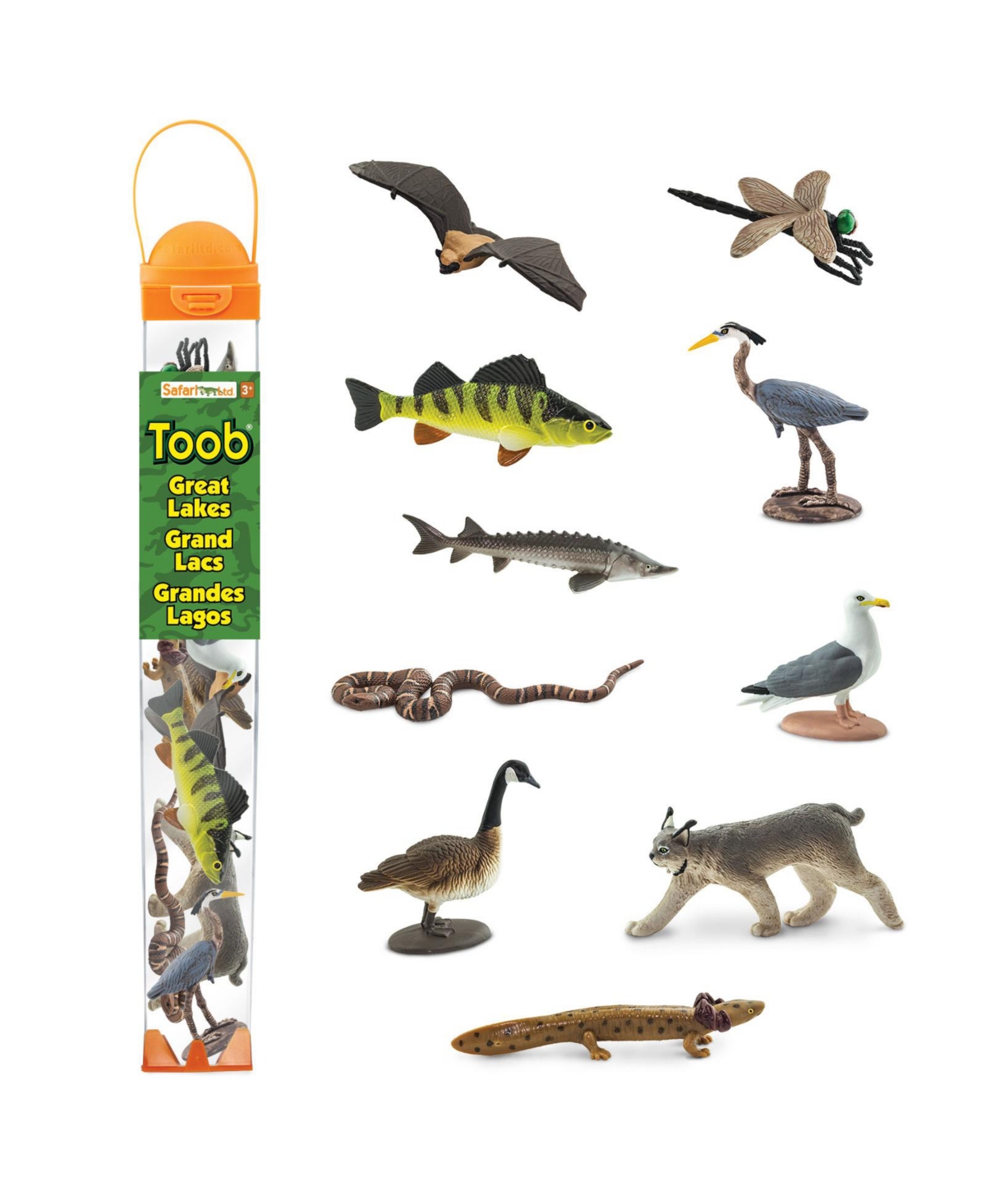 Click here for Safari Ltd. - Great Lakes prices