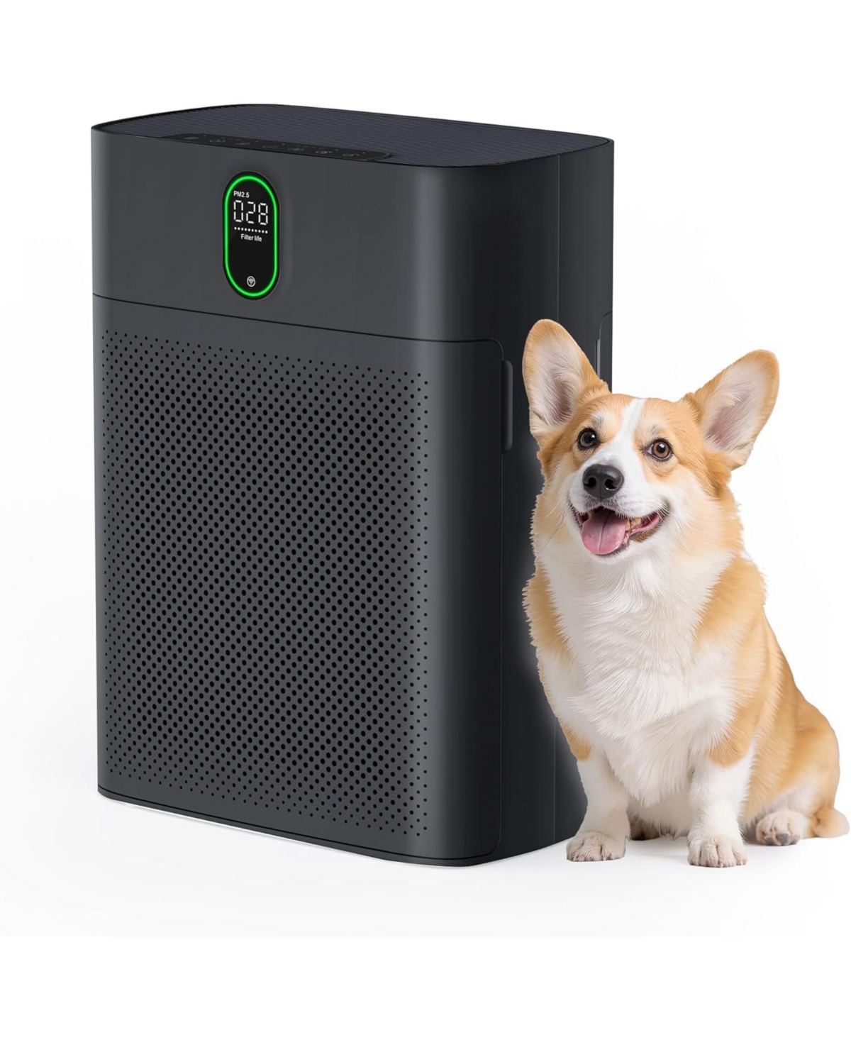 Click here for Morento Air Purifiers for Home Large Room up to 10... prices