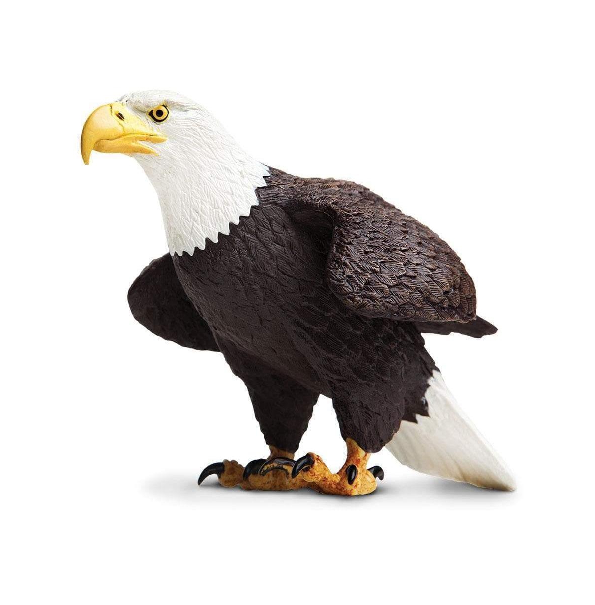 Click here for Safari Ltd. Toy Bald Eagle Figurine prices