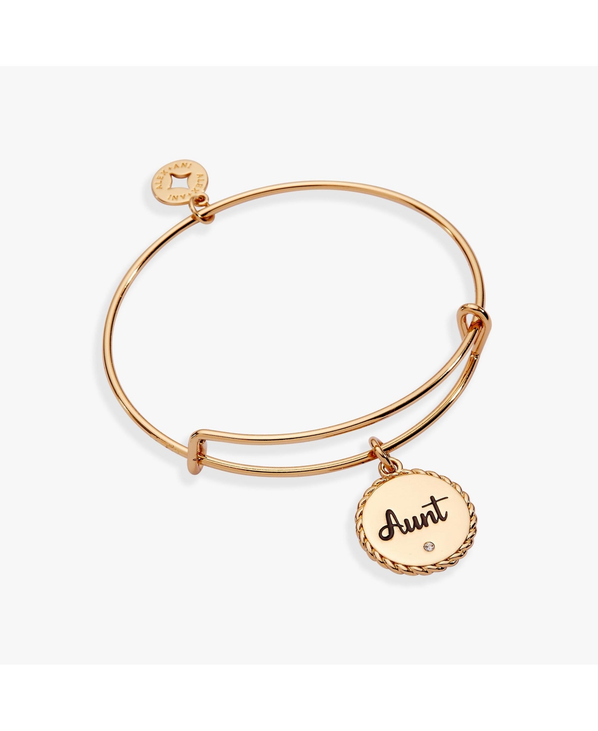 Click here for Alex and Ani Aunt  Trusting Guide Charm Bangle - G... prices