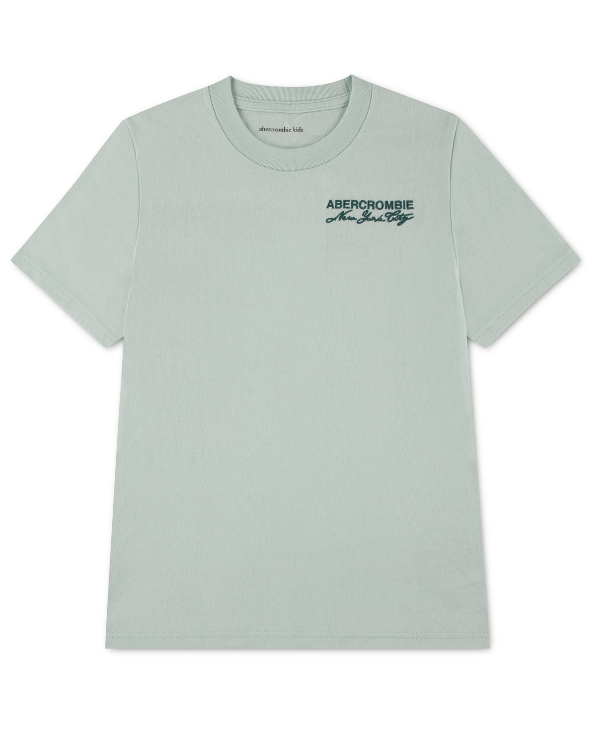 Click here for abercrombie kids Boys Core Lockup T-Shirt - Dusty... prices