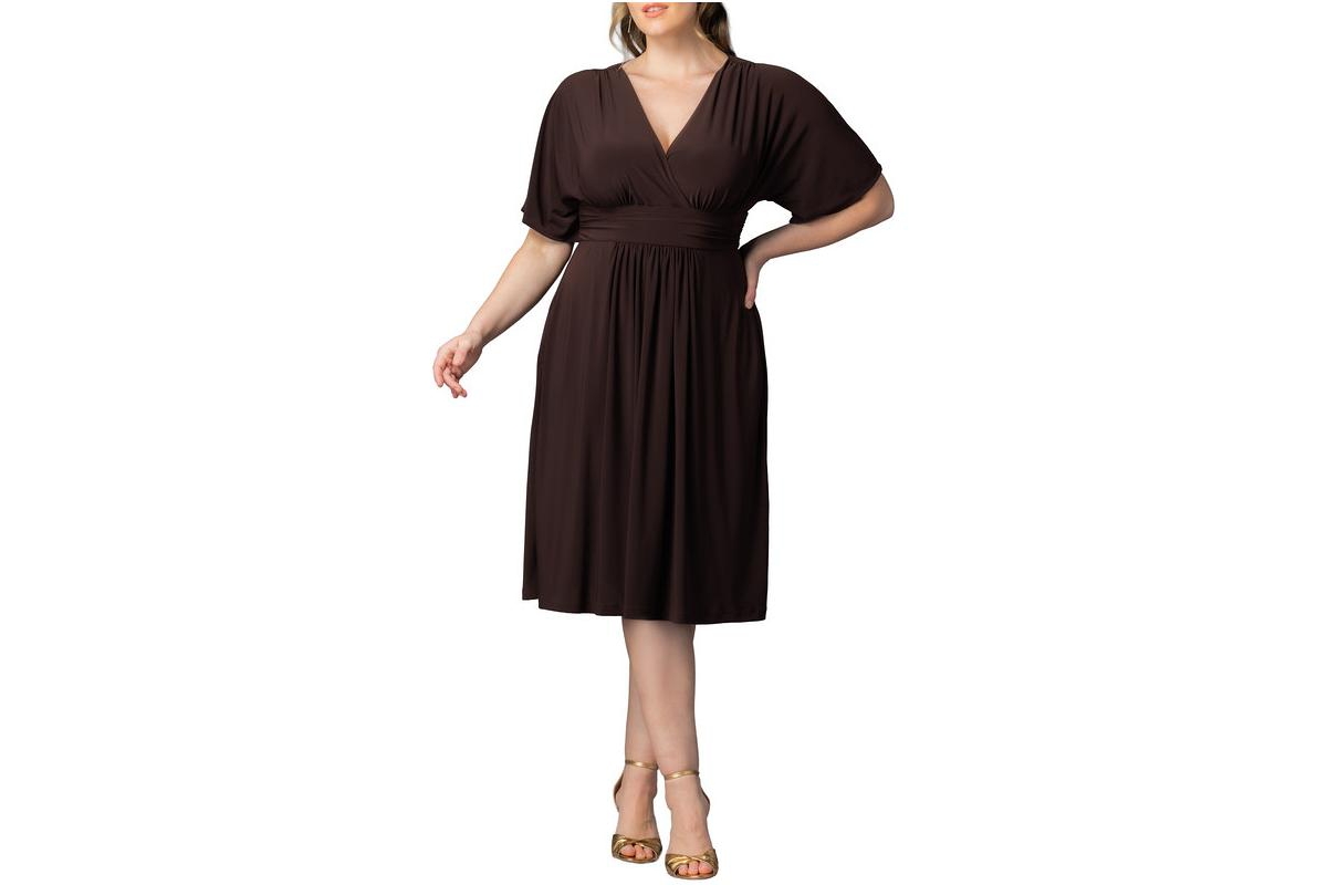 Click here for Kiyonna Womens Plus Size Gia A-Line Midi Dress wit... prices