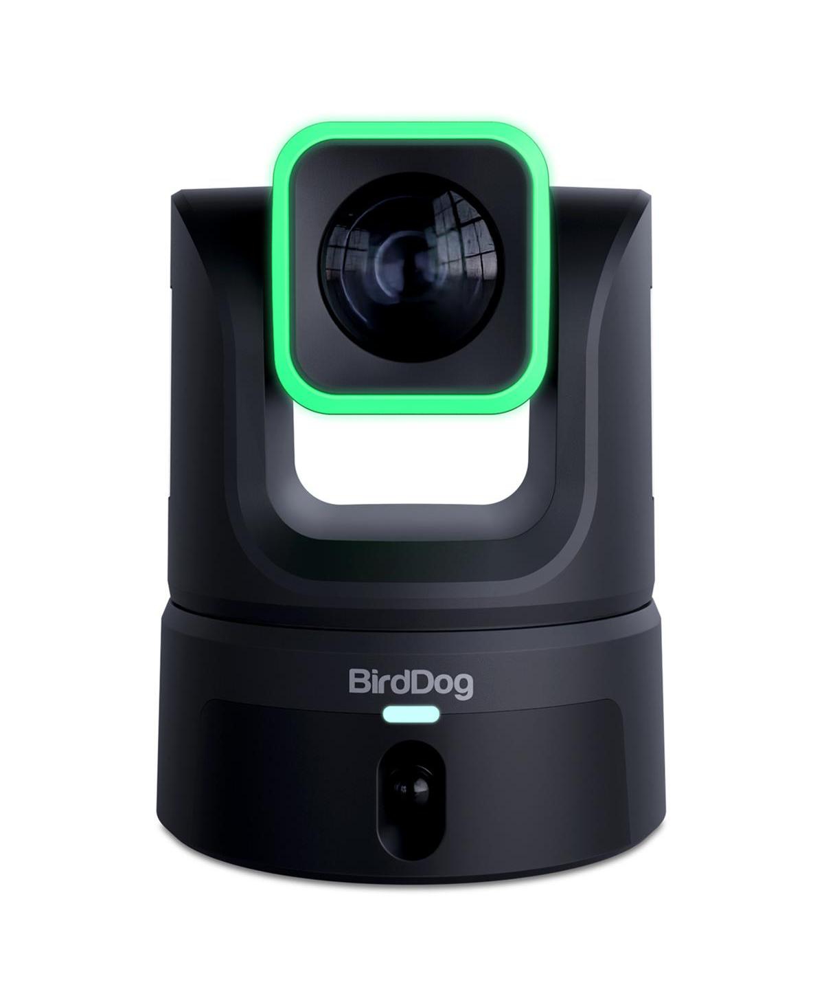 Click here for BirdDog Xl Ultra 4K Ultra Hd Ndi HX3/HX2 Hdmi/3G-s... prices