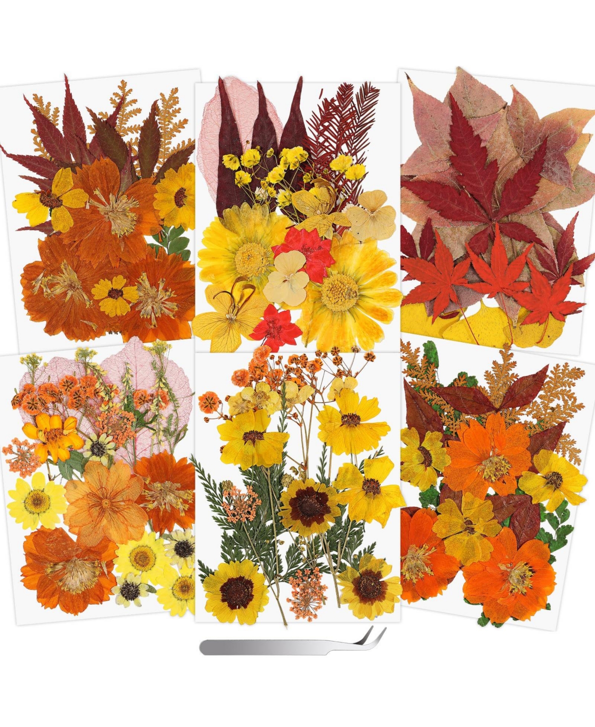 Click here for Gnuadz 100+ Real Dried Pressed Flowers Leaves Flor... prices