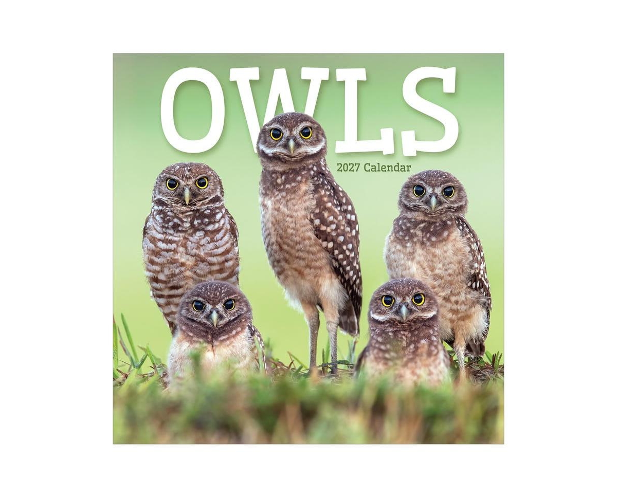 Click here for Tf Publishing Paper Goods 2027 Owls Wall Calendar... prices
