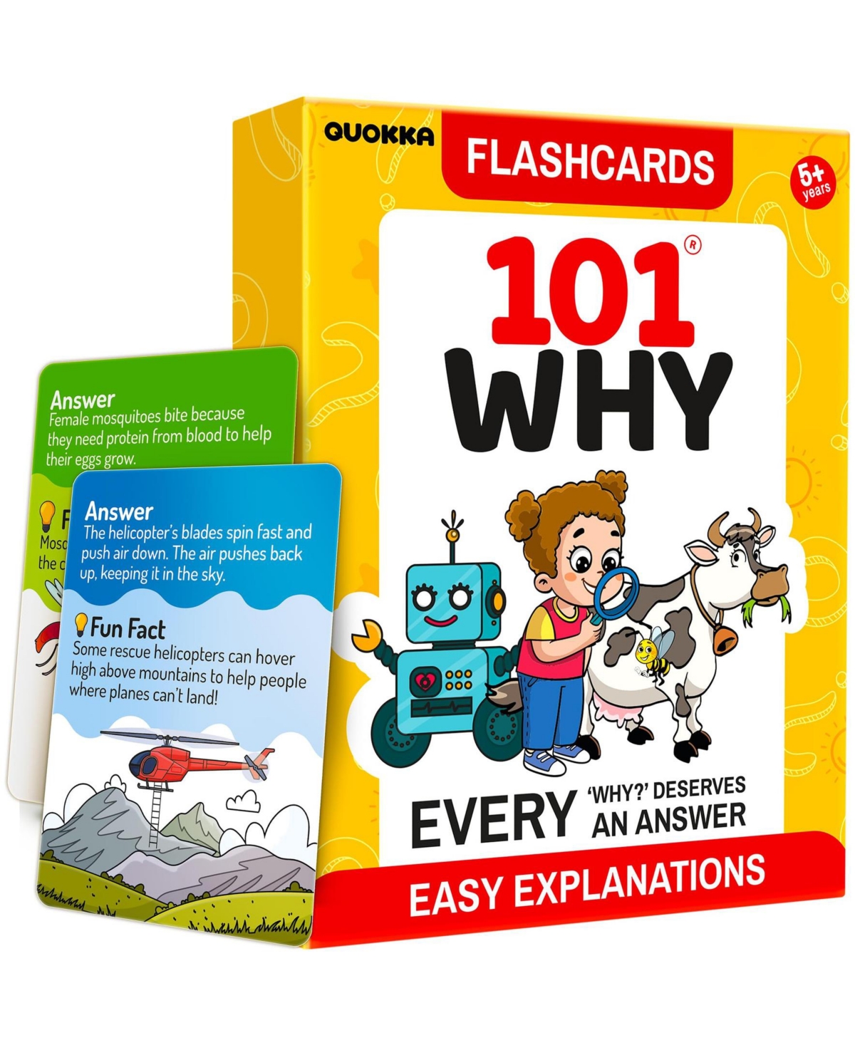 Click here for Quokka 101 Why Flash Cards for Kids Ages 4-8 - Edu... prices
