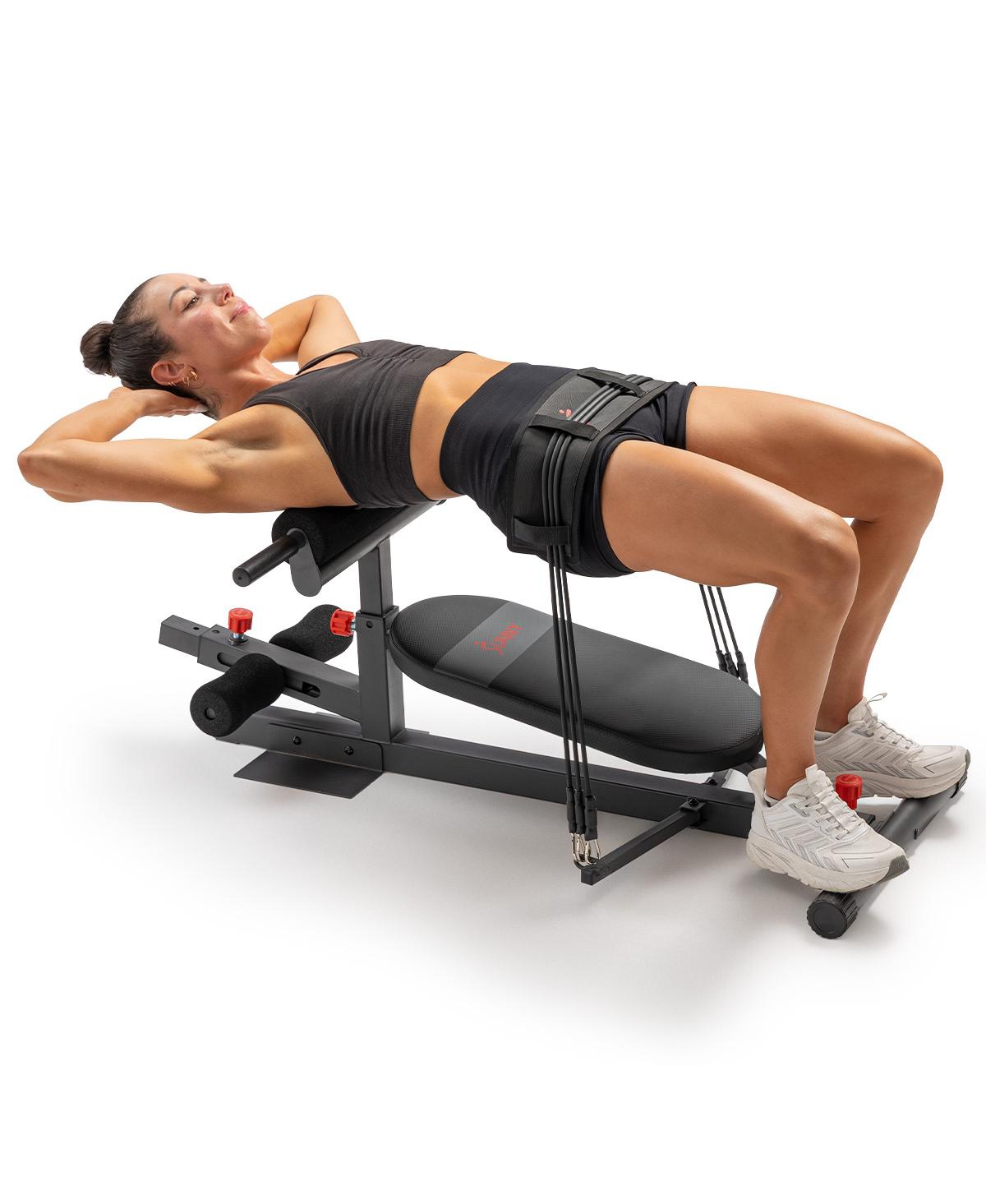 Click here for Sunny Health and Fitness Multifunction Core and Gl... prices