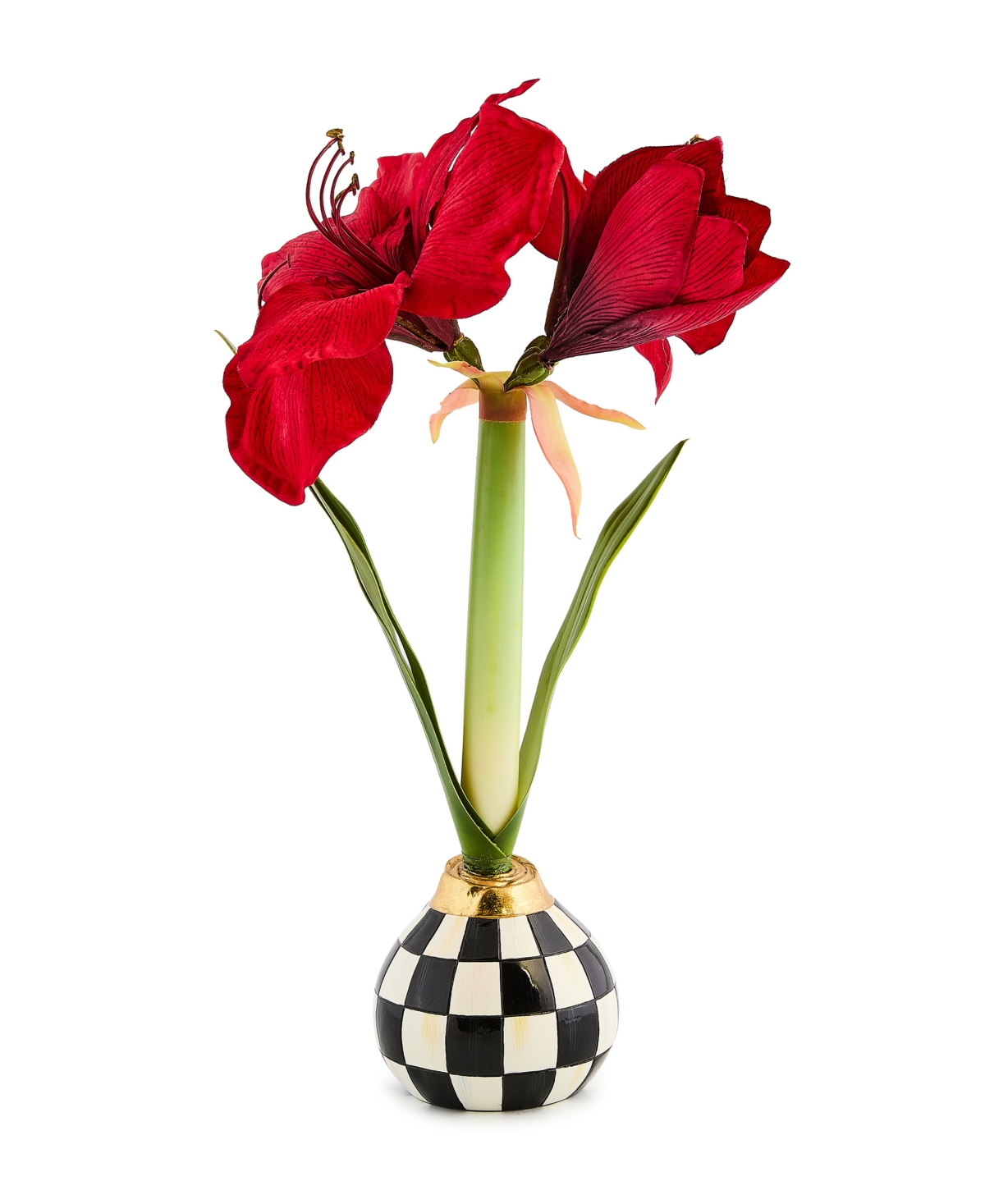 Click here for MacKenzie-Childs Courtly Check Amaryllis Bulb Arra... prices
