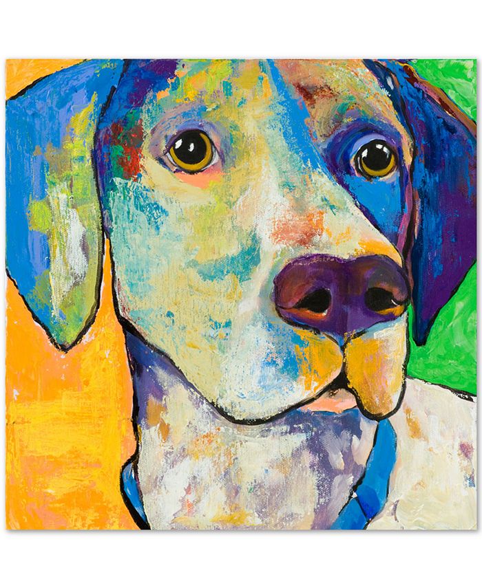 Trademark Global Pat Saunders White 'Yancy' 35" x 35" Canvas Art Print ...