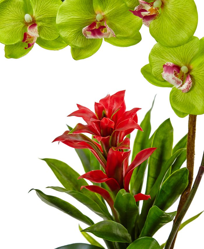 Nearly Natural Orchid & Bromeliad Artificial Arrangement in Glossy ...