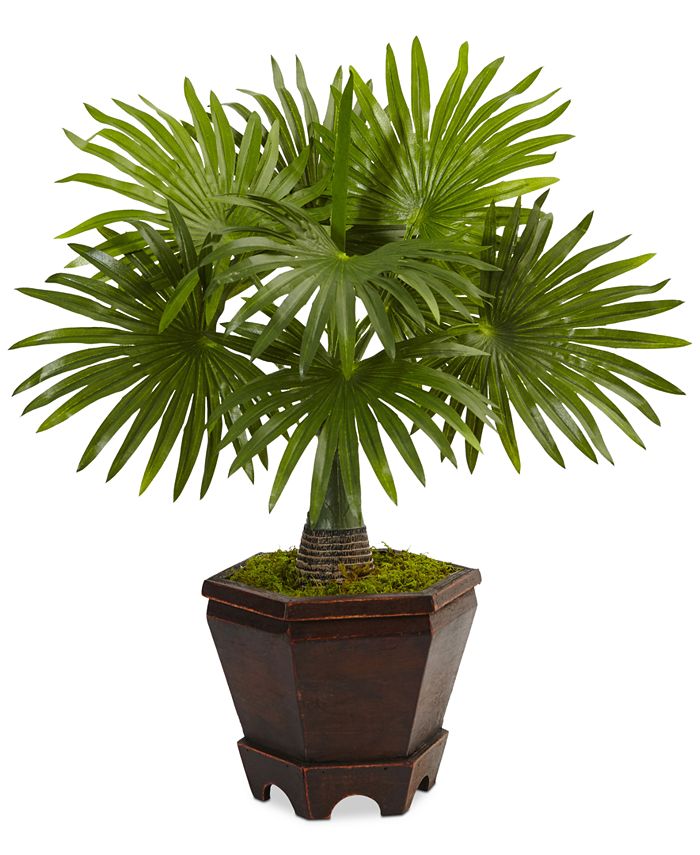 Nearly Natural 3-Pc. 16.5" Assorted Mini Palm Artificial Tree Set in ...