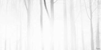 Blinding White Canvas Print 24" x 12" - Macy's