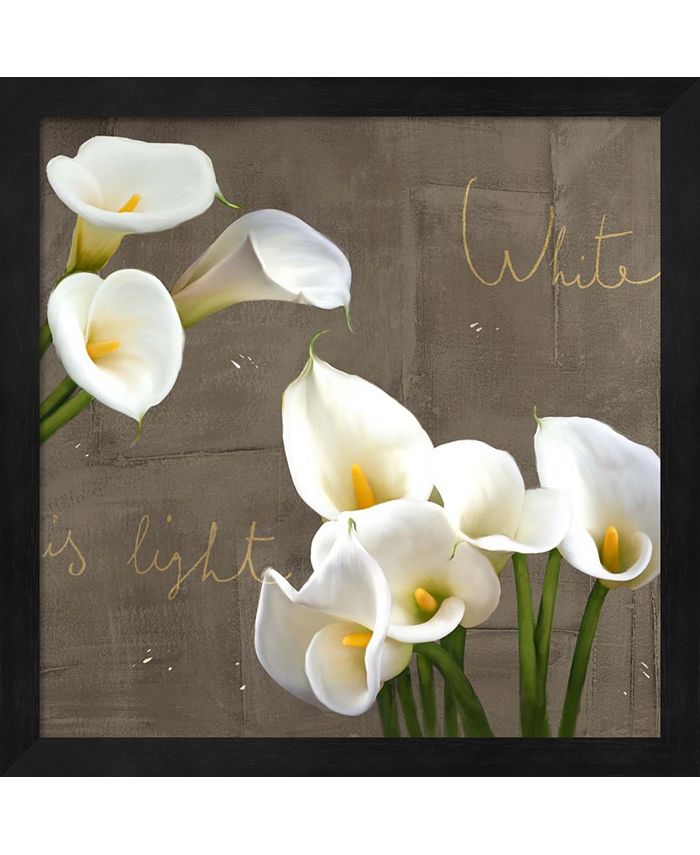 Metaverse White Callas By Teo Rizzardi Framed Art - Macy's