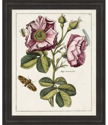 Metaverse Pink Rose by Unknown Framed Art - Macy's
