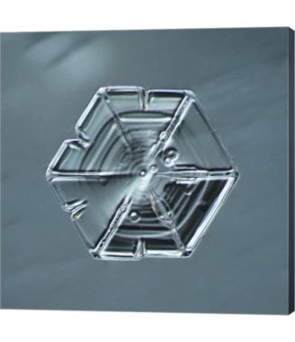 Hexagonal Plate Snowflake 002.2.14.2014 by Print Collection Canvas Art ...