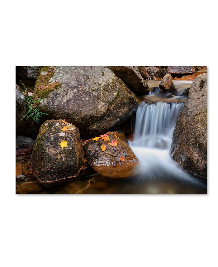 Trademark Global Michael Blanchette Photography 'Jordan Stream' Canvas ...