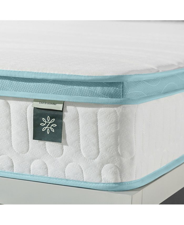 Zinus Mint Green 8 Inch Hybrid Spring Mattress / Firm Support Delivered ...