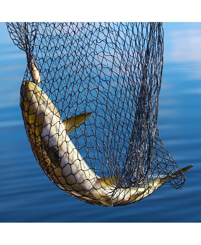 PetMaker Fishing Net With Telescoping Handle By Wakeman Outdoors - Macy's