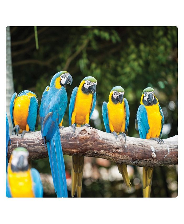 Learning Resources Wild About Animals Critical Thinking Photo Cards ...