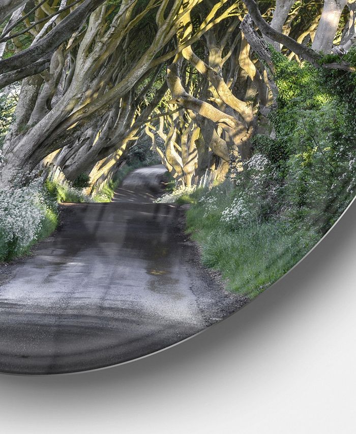 Design Art Designart 'The Dark Hedges Ireland Landscape' Disc ...