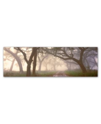 Doug Cavanah 'Dawns Early Light' Canvas Art - 19" x 6" x 2" - Macy's