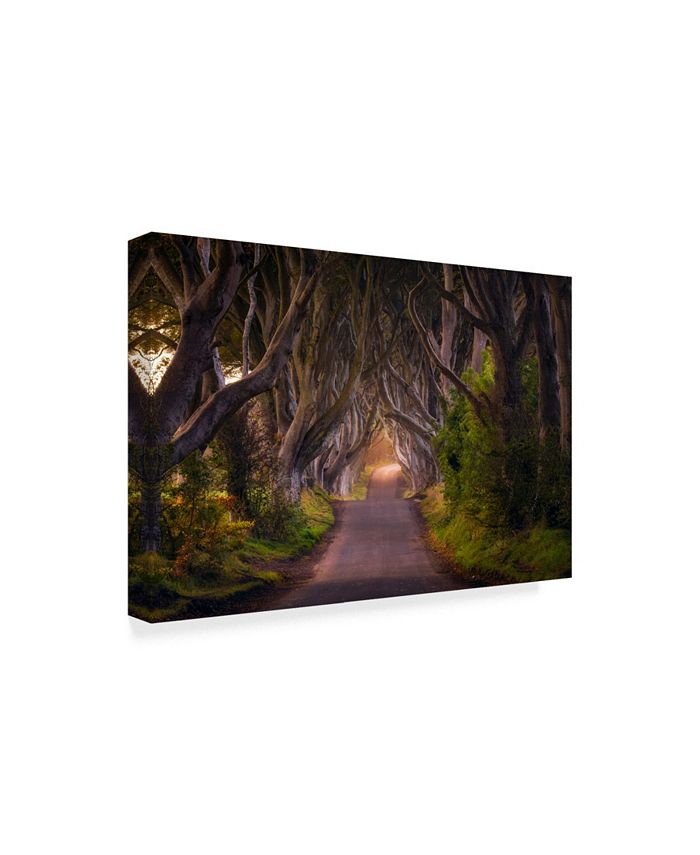 Trademark Global Daniel F 'The Glowing Hedges' Canvas Art - 24" x 2" x ...