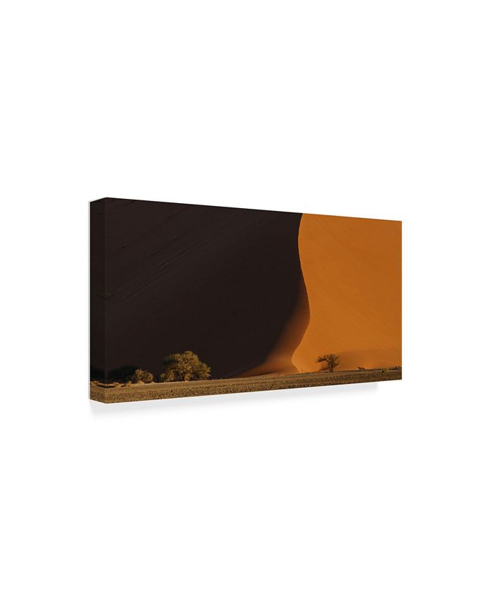 Trademark Global Erik Proper 'Essence Of Sossusvlei' Canvas Art - 32" x ...