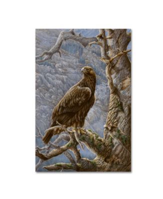 Wanda Mumm 'Mountain Majesty' Canvas Art - 24" x 16" x 2" - Macy's