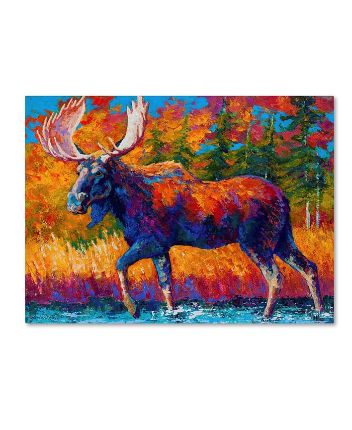 Trademark Global Marion Rose 'Moose Encounter' Canvas Art - 47" x 35" x ...