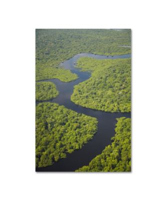 Robert Harding Picture Library 'Forest Scene 5' Canvas Art - 19" x 12 ...