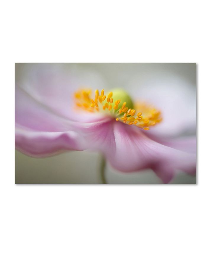 Trademark Global Mandy Disher 'Dreaminess' Canvas Art - 24" x 16" x 2 ...