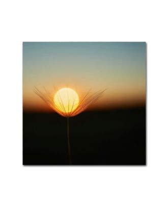 Milan Riha 'Trapped In A Downy Tuft' Canvas Art - 35" x 35" x 2" - Macy's