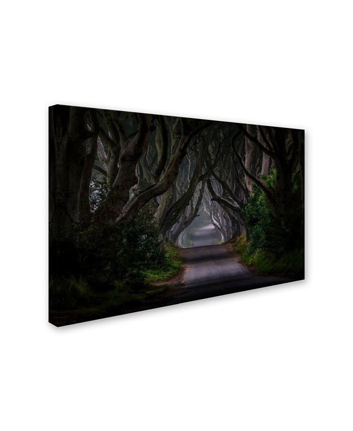 Trademark Global Piotr Galus 'Magic Road' Canvas Art - 32" x 22" x 2 ...