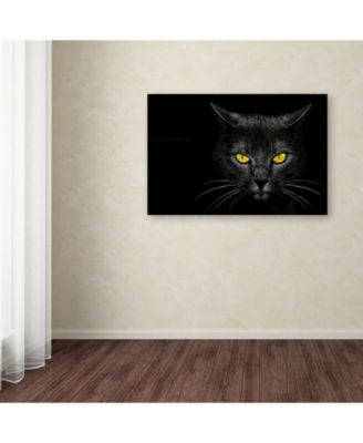 Trademark Global Davorin Baloh 'Monster Kill' Canvas Art - 47" x 30" x ...