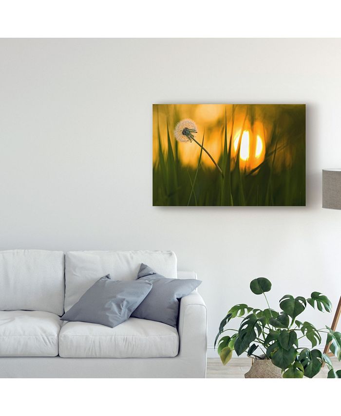 Trademark Global Ricky Siegers 'Sunbathing' Canvas Art - 47" x 2" x 30 ...