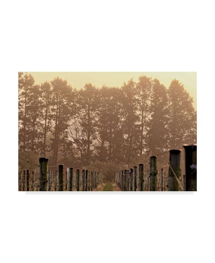 Trademark Global Incredi 'Winter Winyard Ii' Canvas Art - 19" x 12 ...