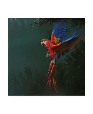 Michael Jackson 'Macaw Over Forest' Canvas Art - 14" x 14" - Macy's